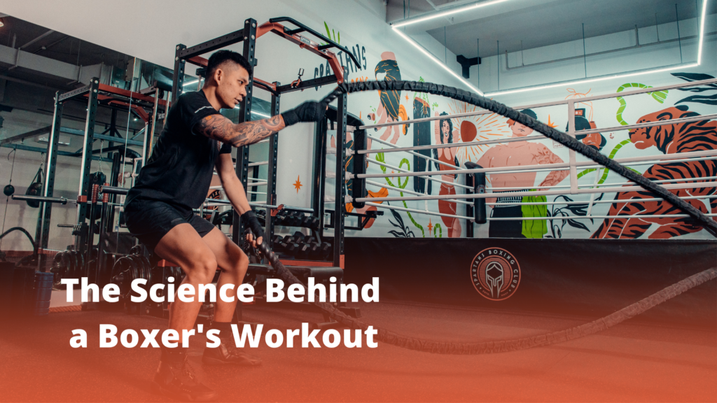 The Science Behind a Boxer's Workout: Unveiling the Power Within ...