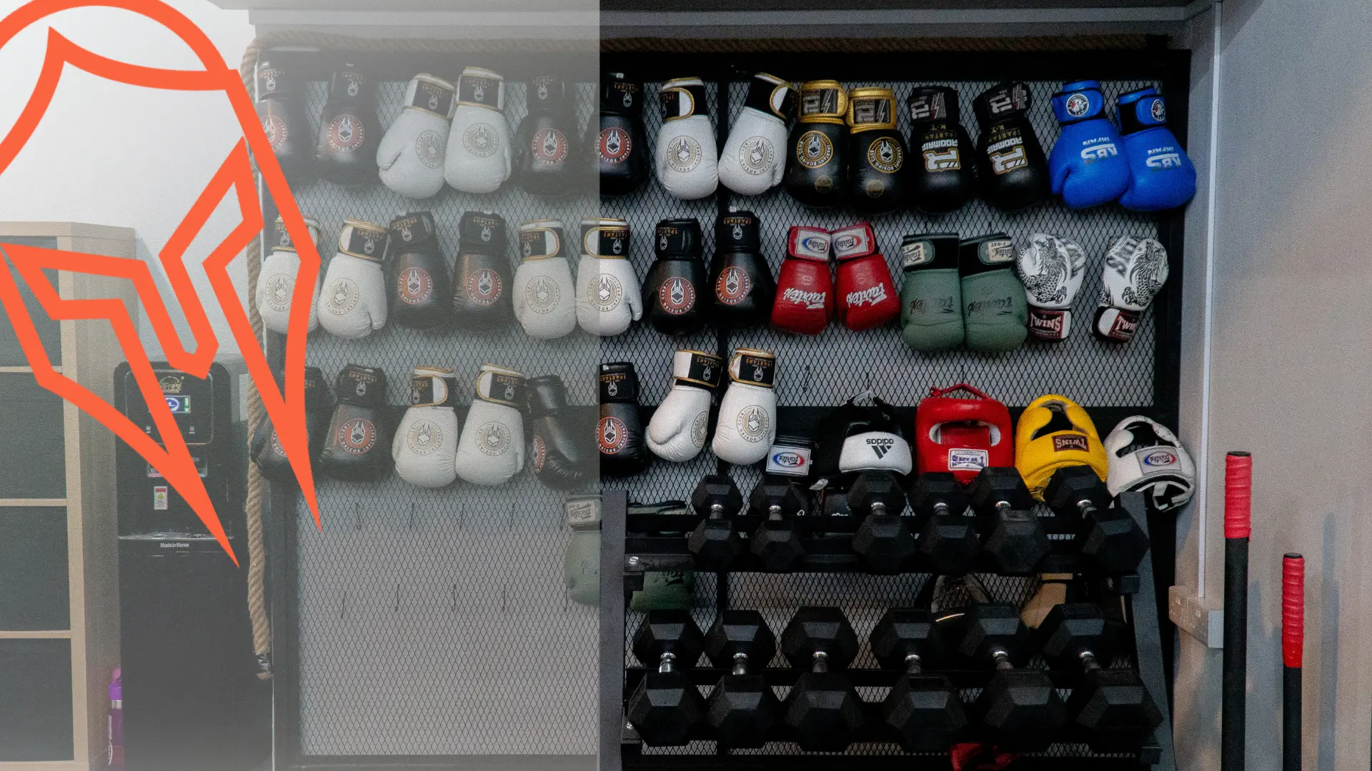 Health and Fitness Franchise Opportunities - Spartans Boxing Club